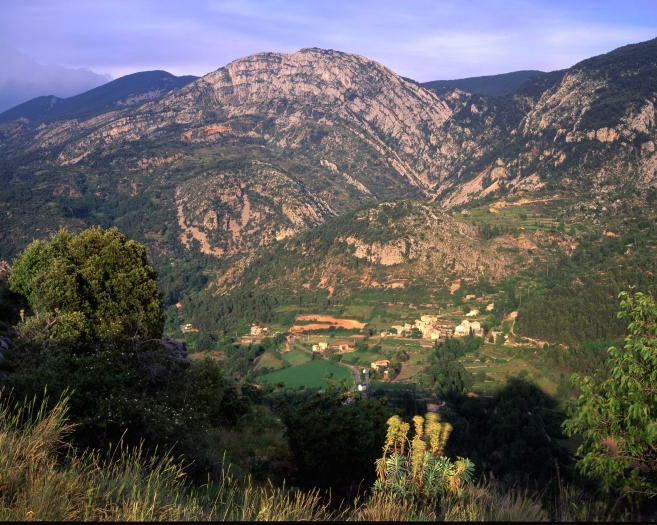 La Muntanya d’Alinyà | Rewilding Europe