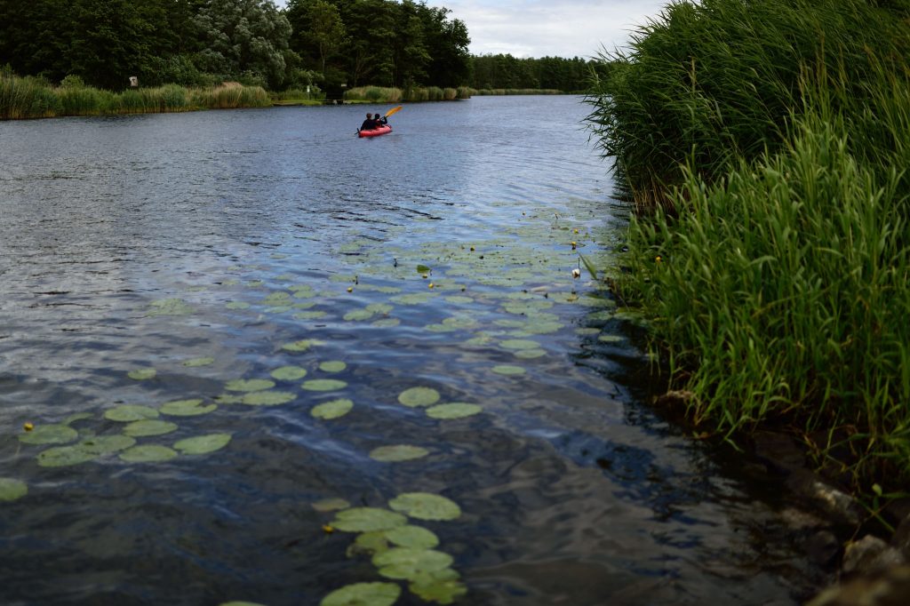 New guiding handbook published in the Oder Delta | Rewilding Europe