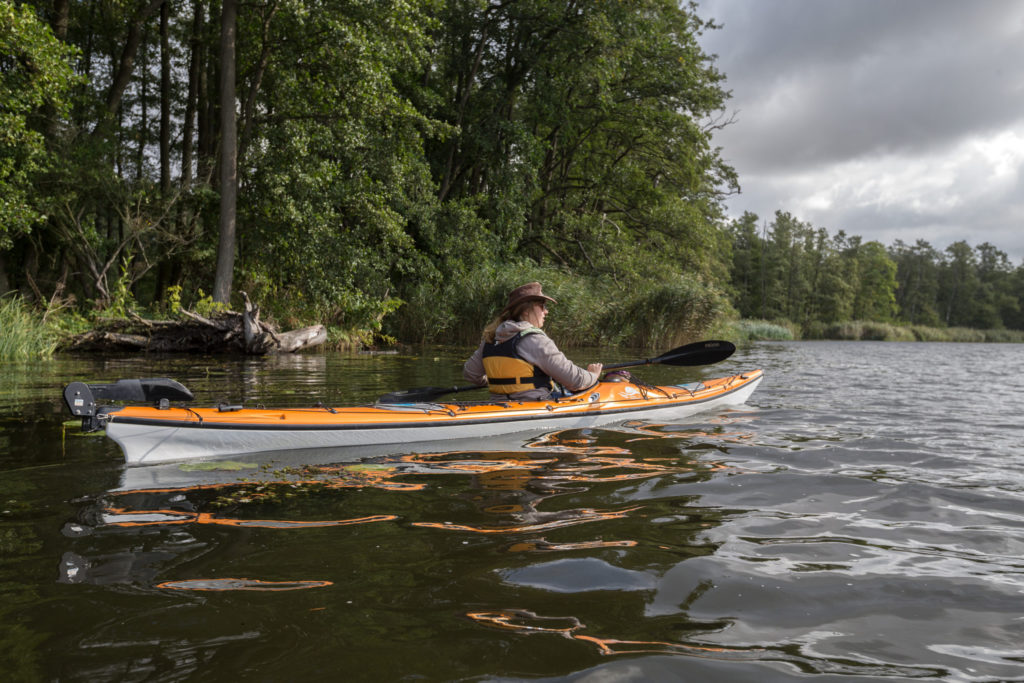 A wilder Oder Delta creates opportunities for German and Polish nature ...