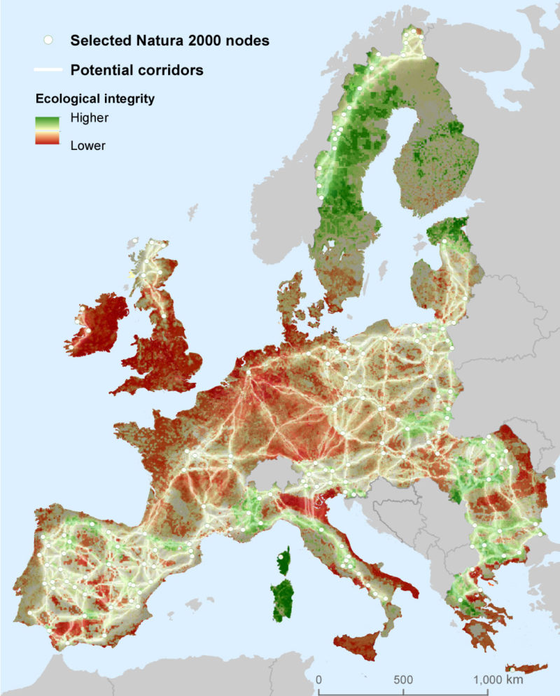Decisive decade: nature restoration offers Europe’s policy makers ...