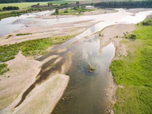 River Meuse restoration shows the wide-ranging benefits of working with ...