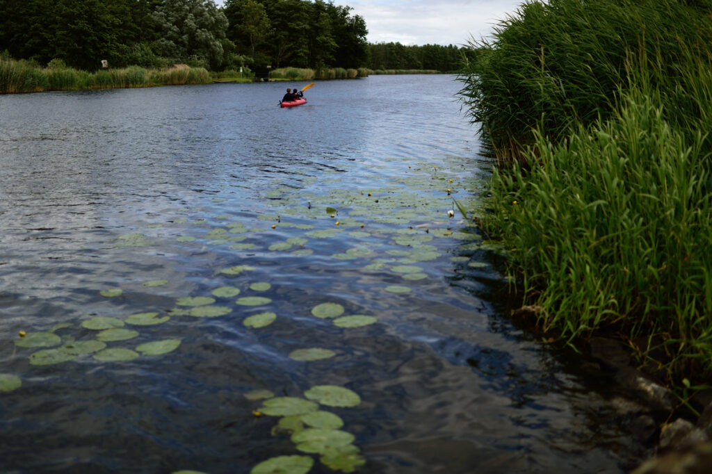 Oder Delta visit sees study team learn about local nature-based economy ...