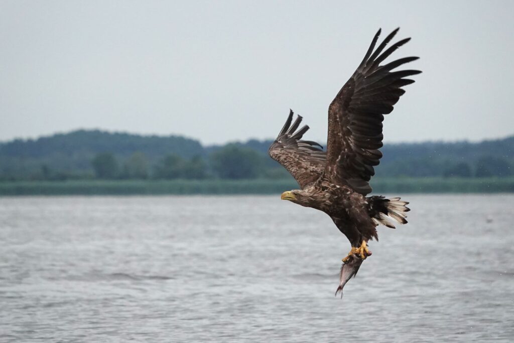 Oder Delta visit sees study team learn about local nature-based economy ...