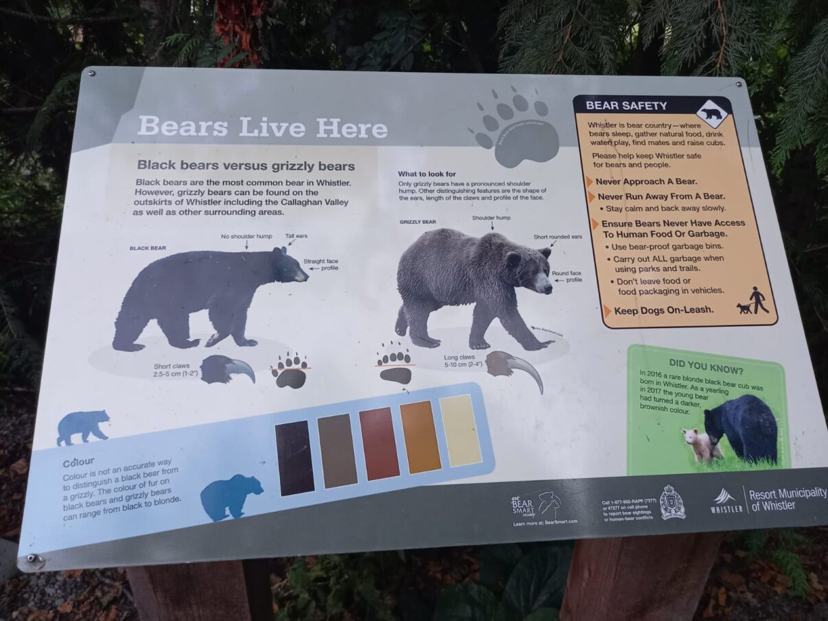 Canada trip offers valuable lessons for bear smart community work in ...