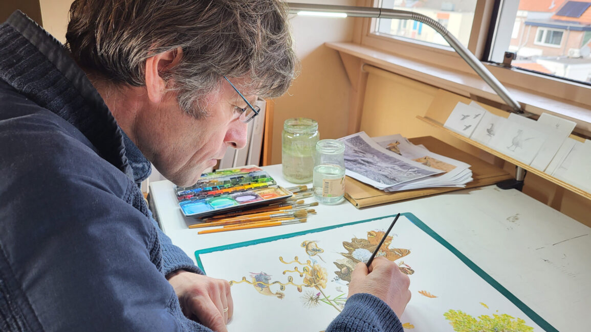 The art of rewilding: an interview with Jeroen Helmer | Rewilding Europe