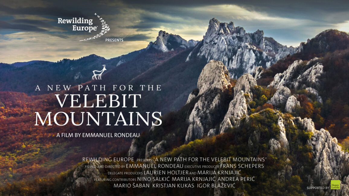 Premiere of captivating new documentary in Velebit Mountains