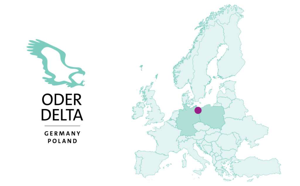 Peat power: Rewilding in the Oder Delta | Rewilding Europe