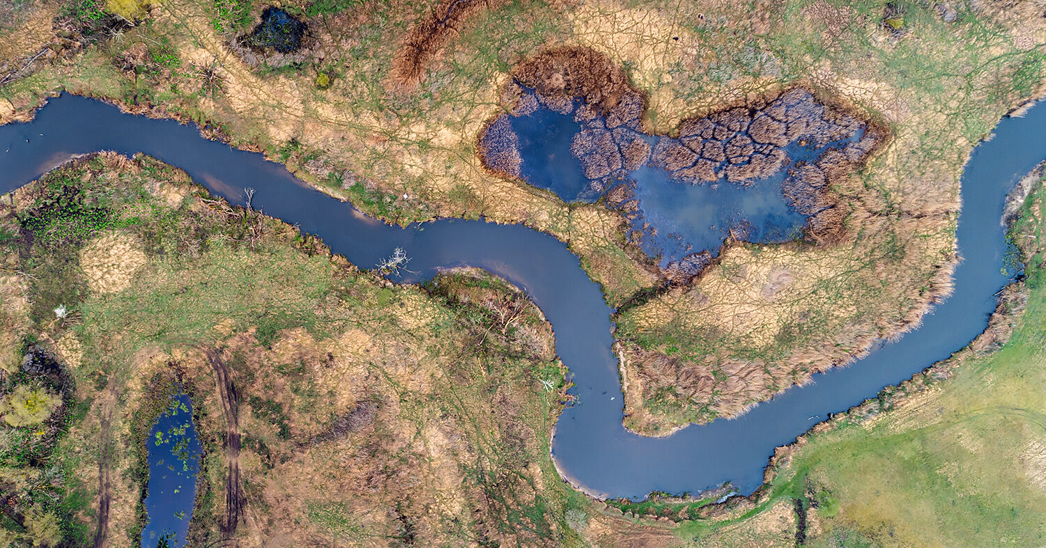 Peat power: Rewilding in the Oder Delta | Rewilding Europe