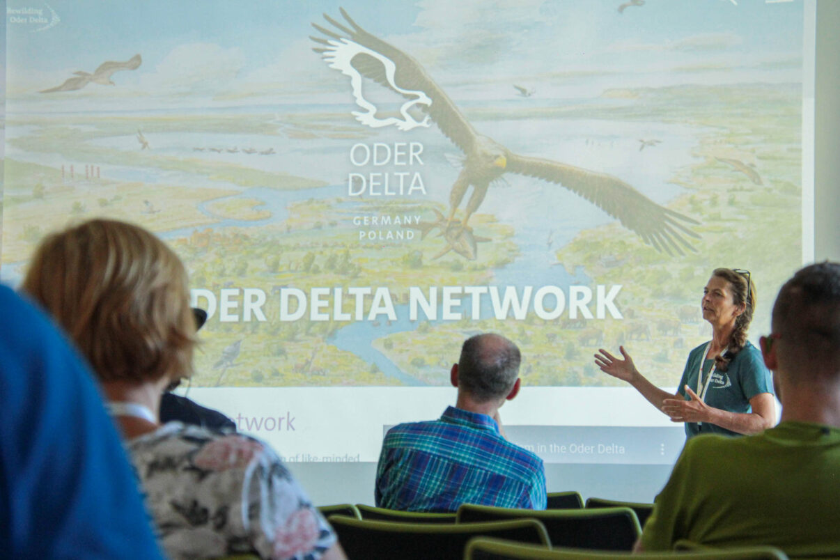New Oder Delta business network to support nature-based economic growth ...