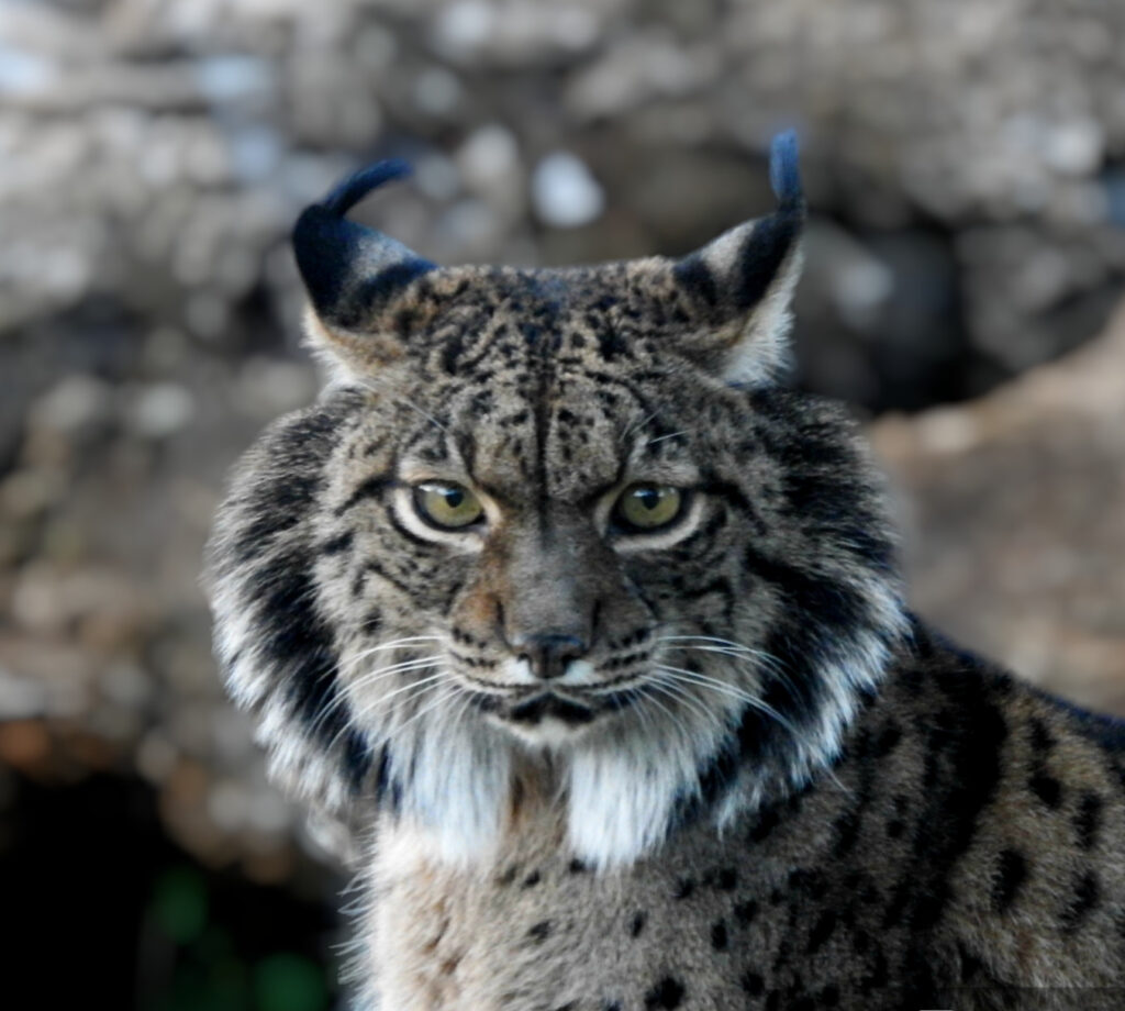 Conference on scientific tourism and ecotourism