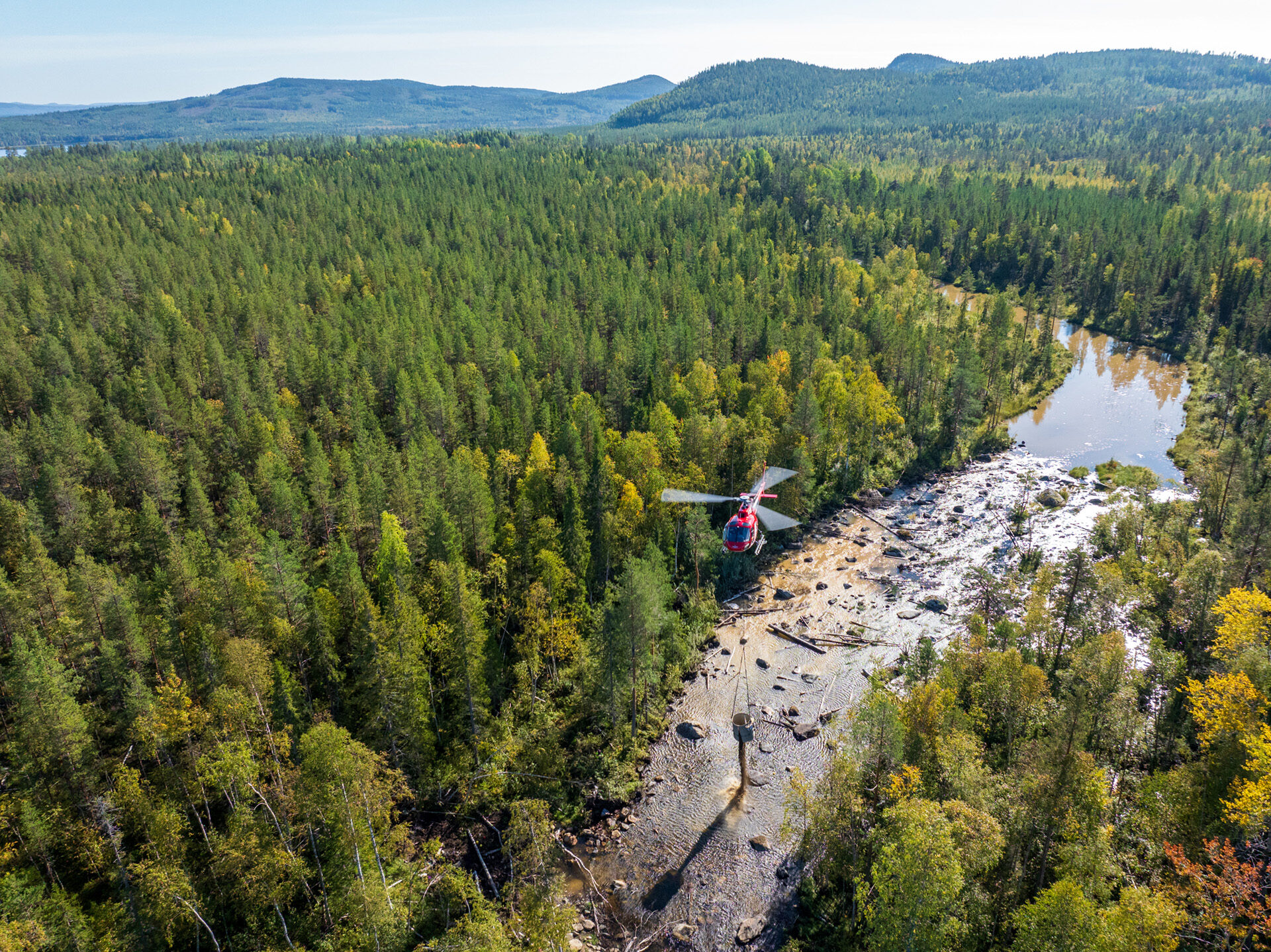 Rewilding Highlights 2024 | Rewilding Europe